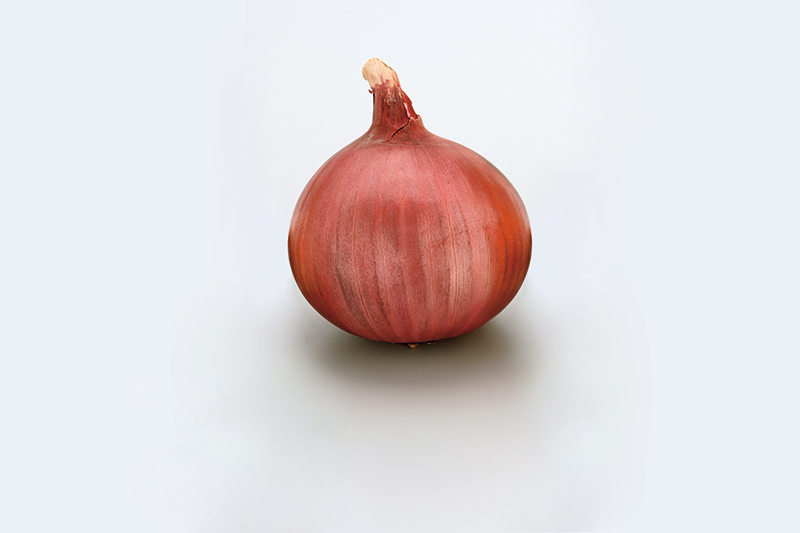Short- and Intermediate-Day Onion Variety Buyers' Guide - Onion World