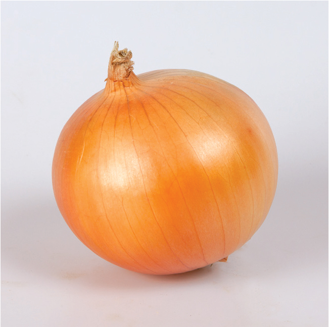 Short- and Intermediate-Day Onion Variety Buyers' Guide - Onion World