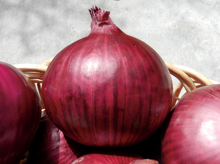 Short- and Intermediate-Day Onion Variety Buyers' Guide - Onion World