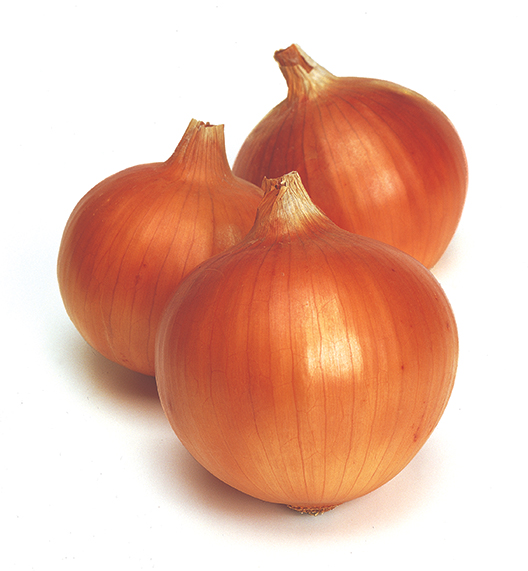 Short- and Intermediate-Day Onion Variety Buyers' Guide - Onion World