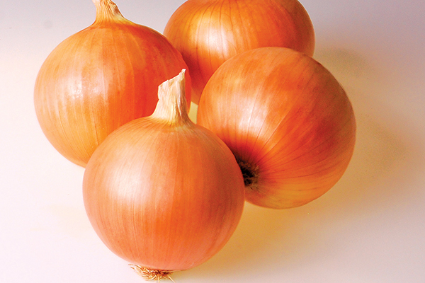 Short- and Intermediate-Day Onion Variety Buyers' Guide - Onion World