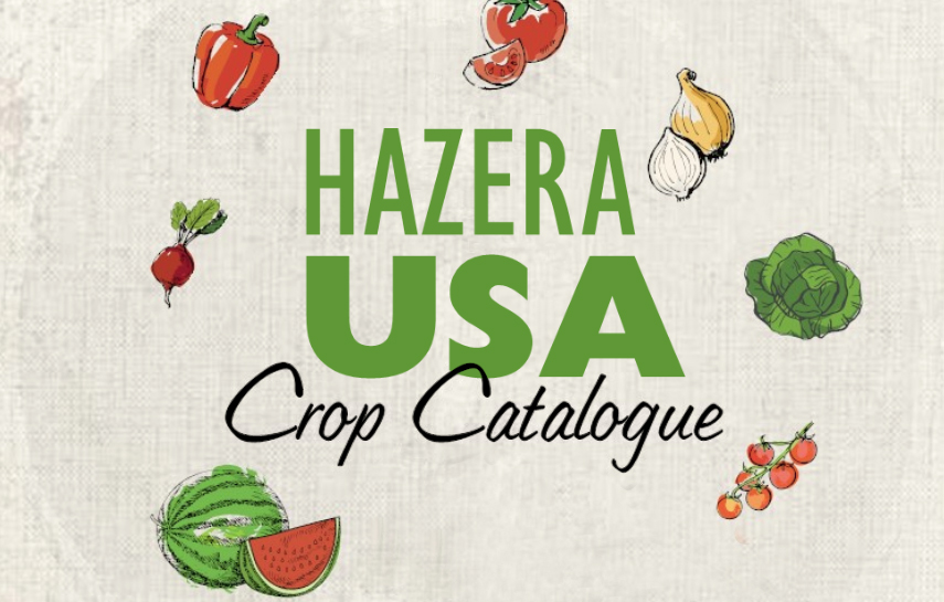 Hazera USA Releases New Digital Catalog - Onion World