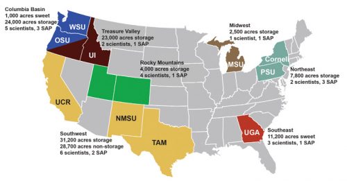 Stop the Rot! - Onion World