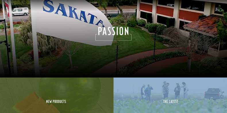Sakata Debuts New Website and Catalog - Onion World