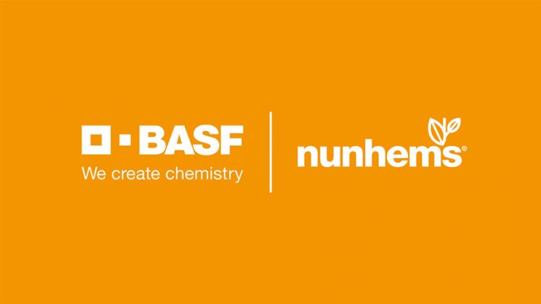 BASF Names New Nunhems Variety - Onion World