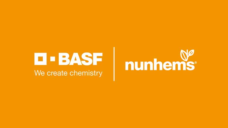 Annie-Project-certificate - Onion World