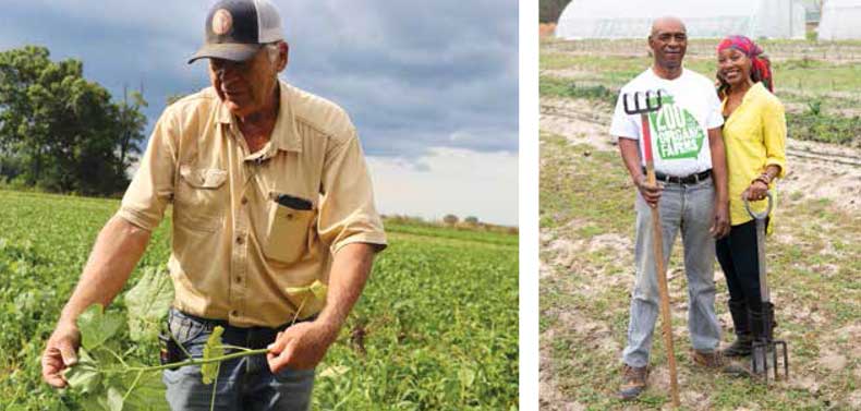 New Guide: Transitioning to Organic Production - Onion World