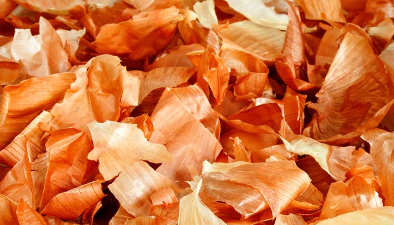 onion-skins - Onion World